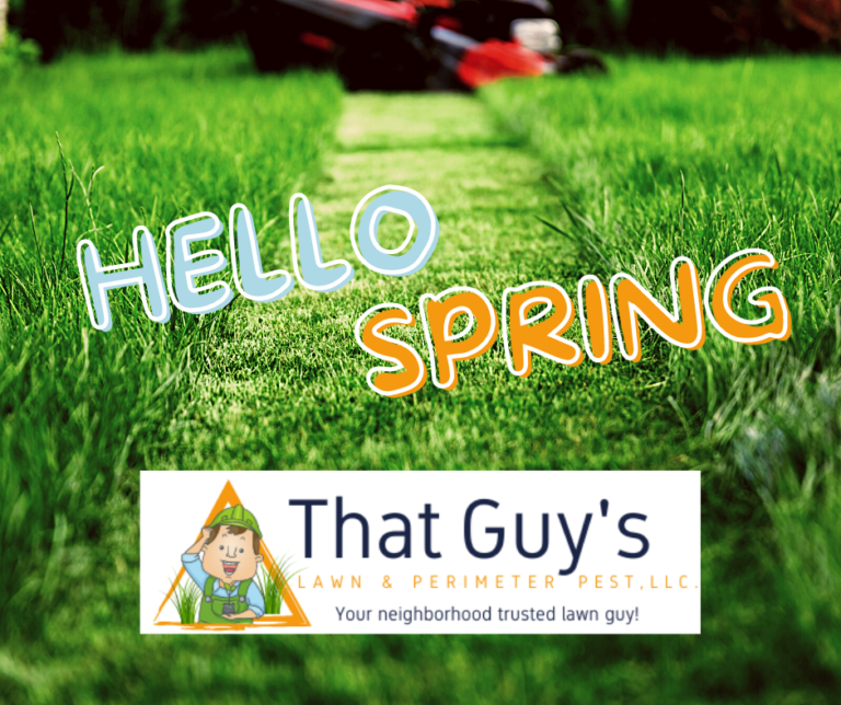 Hello Spring! What’s new with That Guy’s… - That Guy's Lawn & Perimeter ...