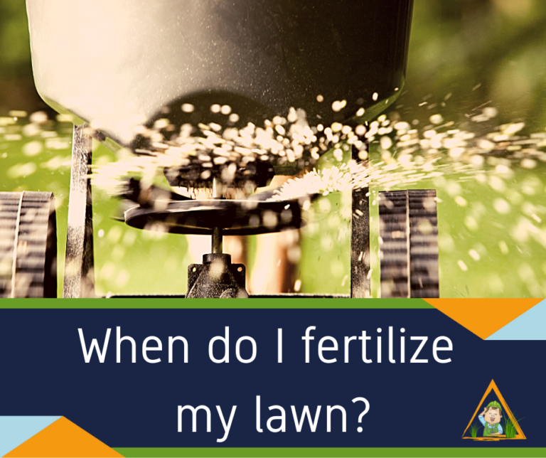 When do I fertilize my lawn? What you need to know. - That Guy's Lawn & Perimeter Pest, LLC.